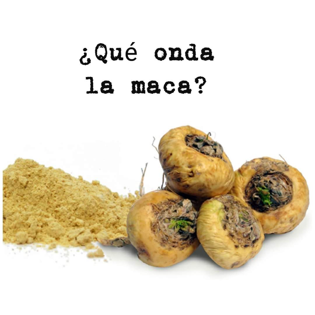 ¿Qué es la maca? - Nutriendo Hábitos